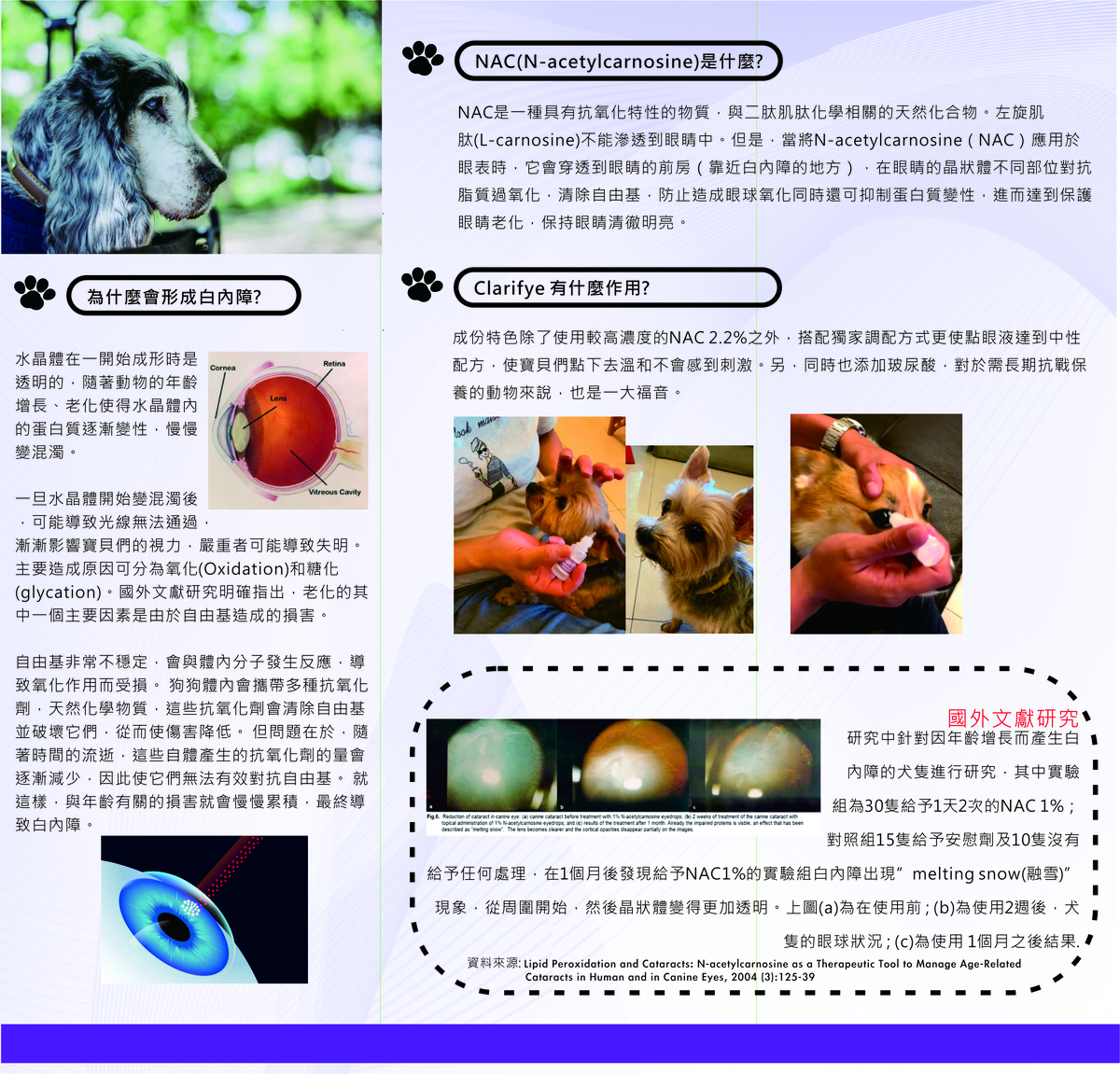 Clarifye 艾視明點眼液 - 艾沛斯國際｜動物醫療領域的專業